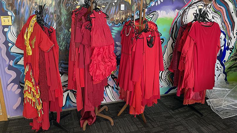Powerful Red Dress exhibit on display at City Hall, all library ...