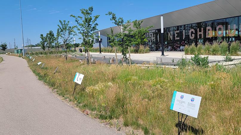 Enjoy reading a story outdoors on a StoryWalk® | City of Winnipeg