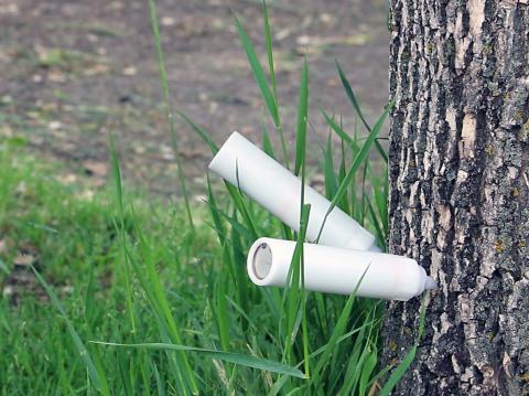 Hundreds of tree injections being used to target emerald ash borer ...